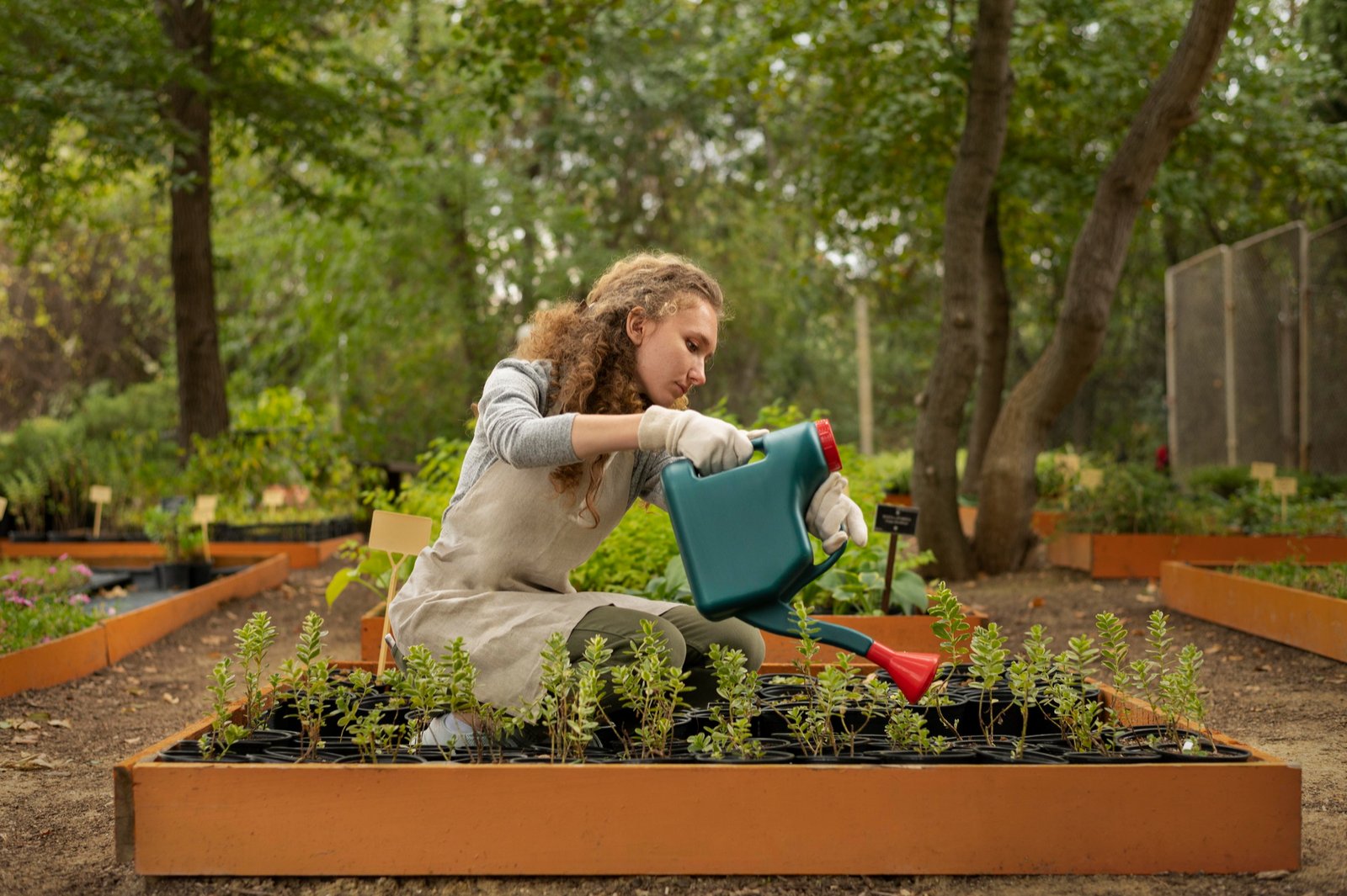 25 SIMPLE WAYS TO ADOPT A GREEN, SUSTAINABLE LIFESTYLE - GO GREEN GO SMART